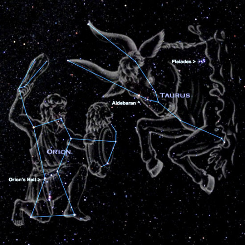 The Mythology of Alcyone – Spica Astrology